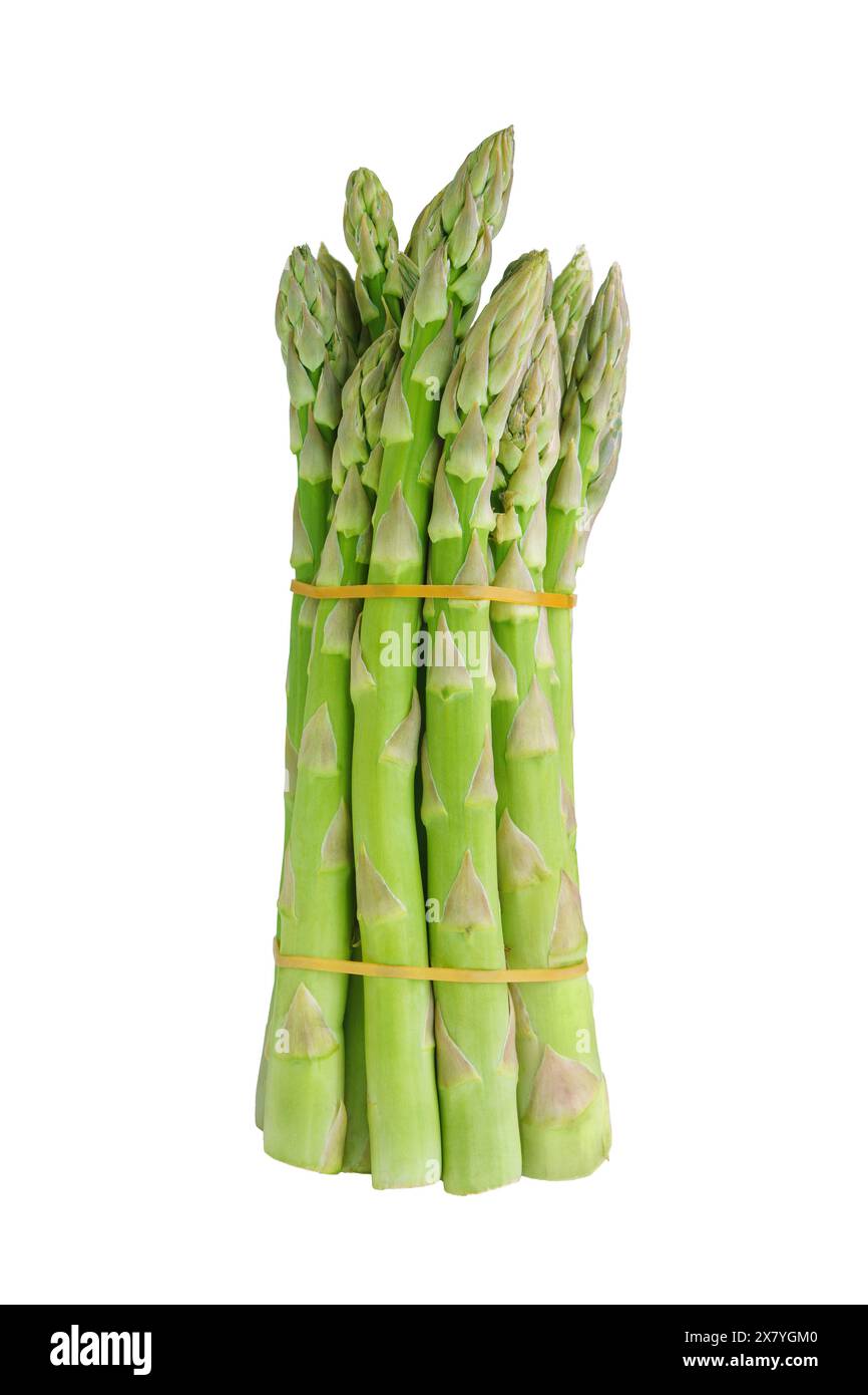 Bunch of raw green asparagus Isolated on white background. Edible ...