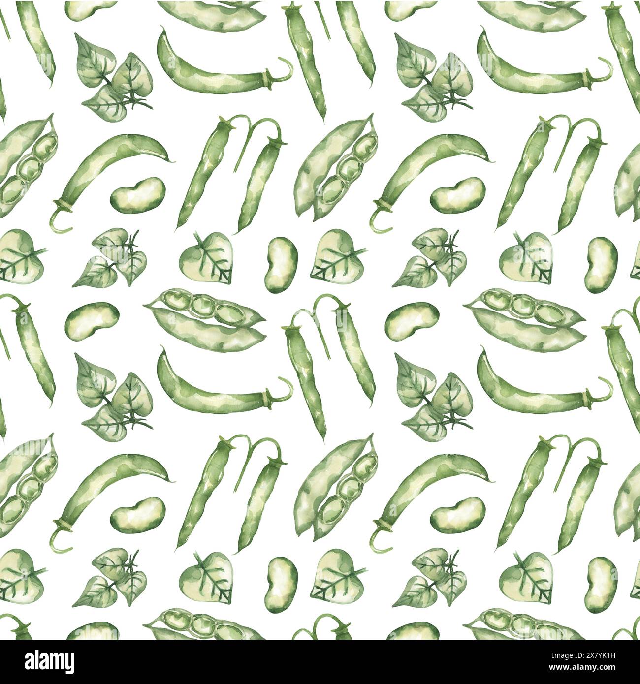 Watercolor green beans seamless pattern, nature with plants repeat ...