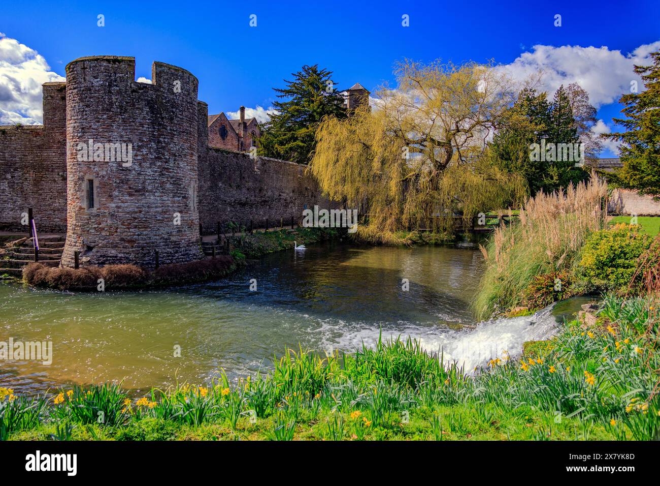 The moat surrounding the Bishop's Palace walled garden with spring ...