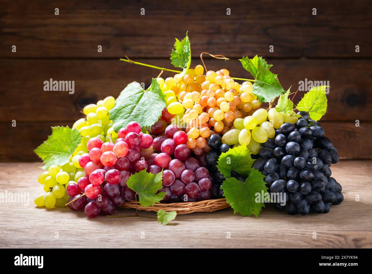 Various grapes green leaves hi-res stock photography and images - Alamy