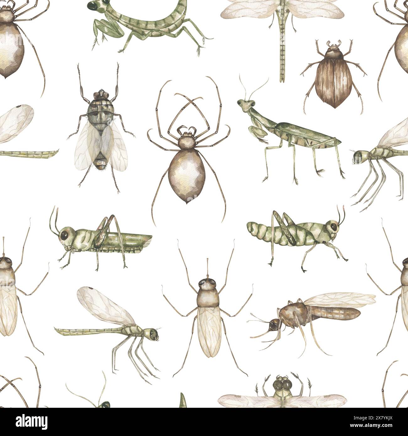 Watercolor beetles; spider; dragon fly and fly seamless pattern; wild ...