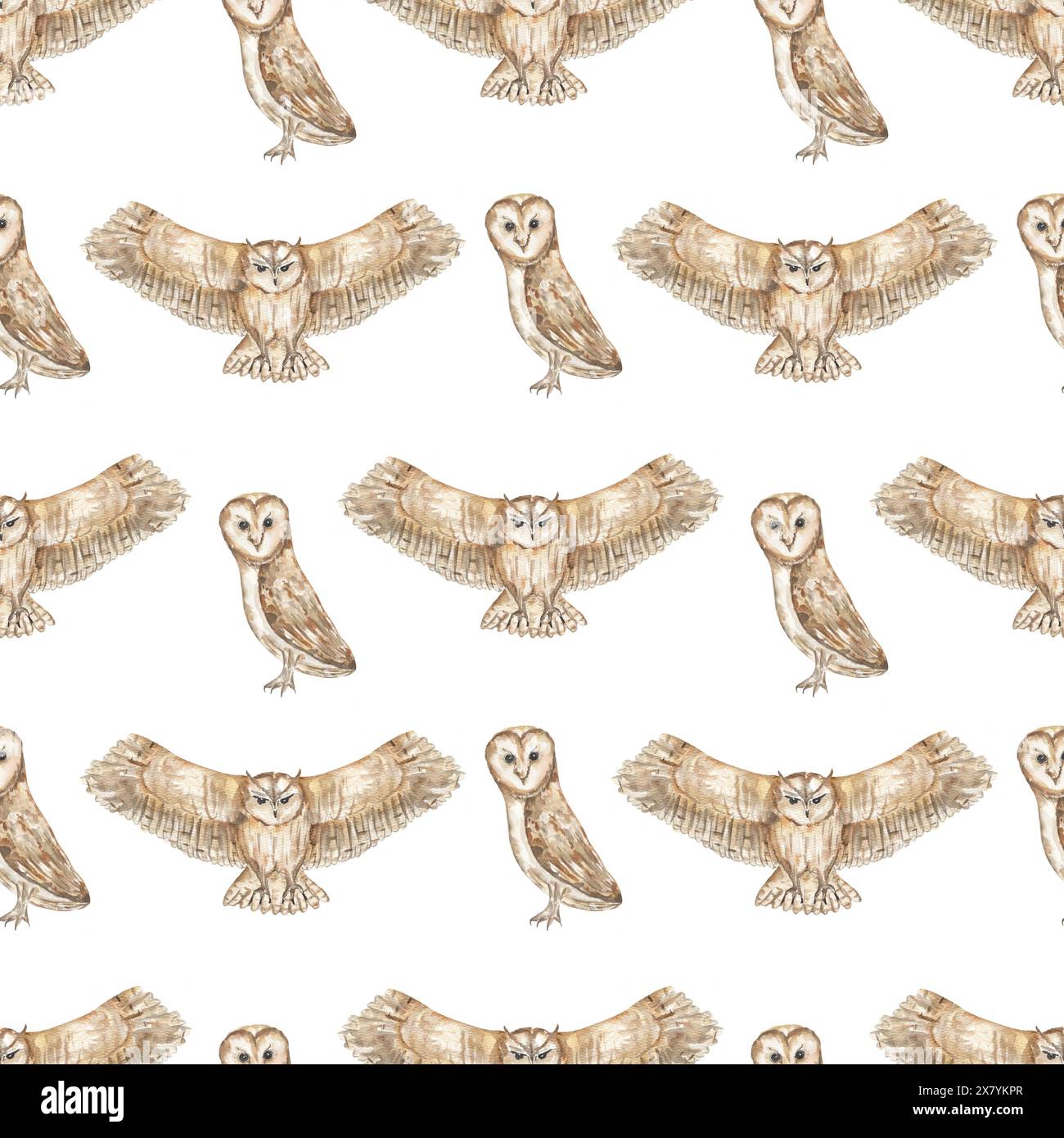 Watercolor owl seamless pattern, wild bird repeat paper, animals ...