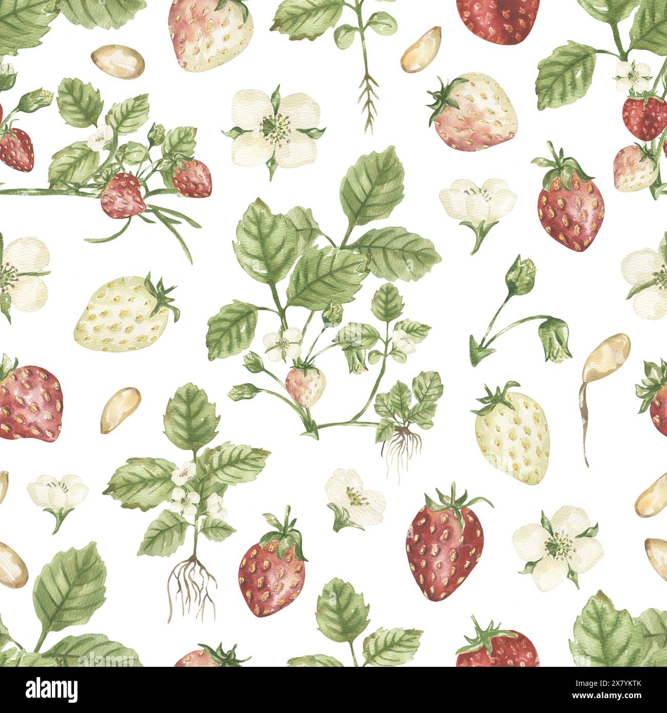 Watercolor strawberry seamless pattern, nature life cycle with plants ...