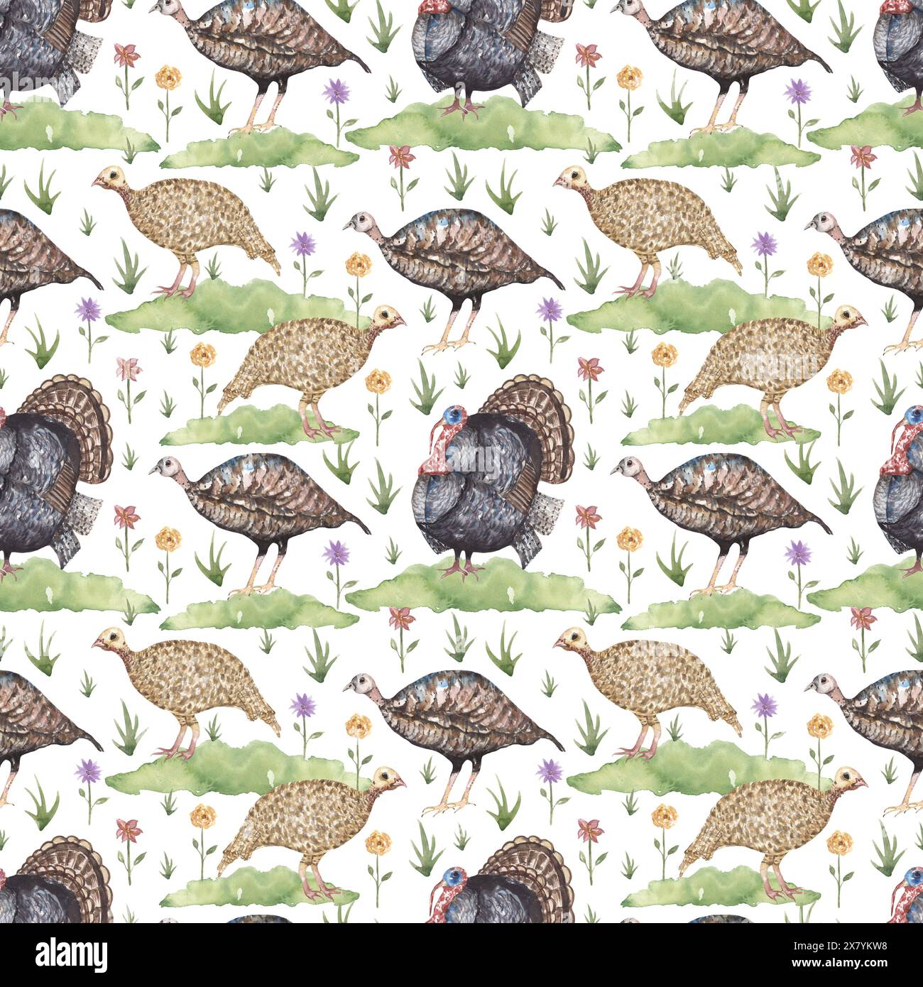 Watercolor turkey bird seamless pattern, wild life life cycle repeat ...