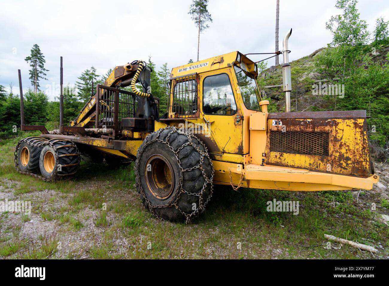 Logging activities in Swedish forests Stock Photo - Alamy