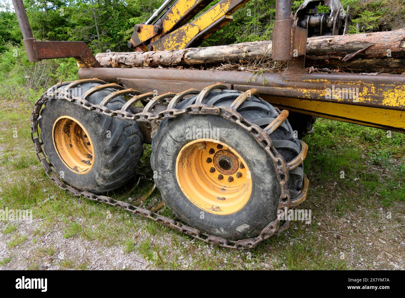 Logging activities hi-res stock photography and images - Alamy