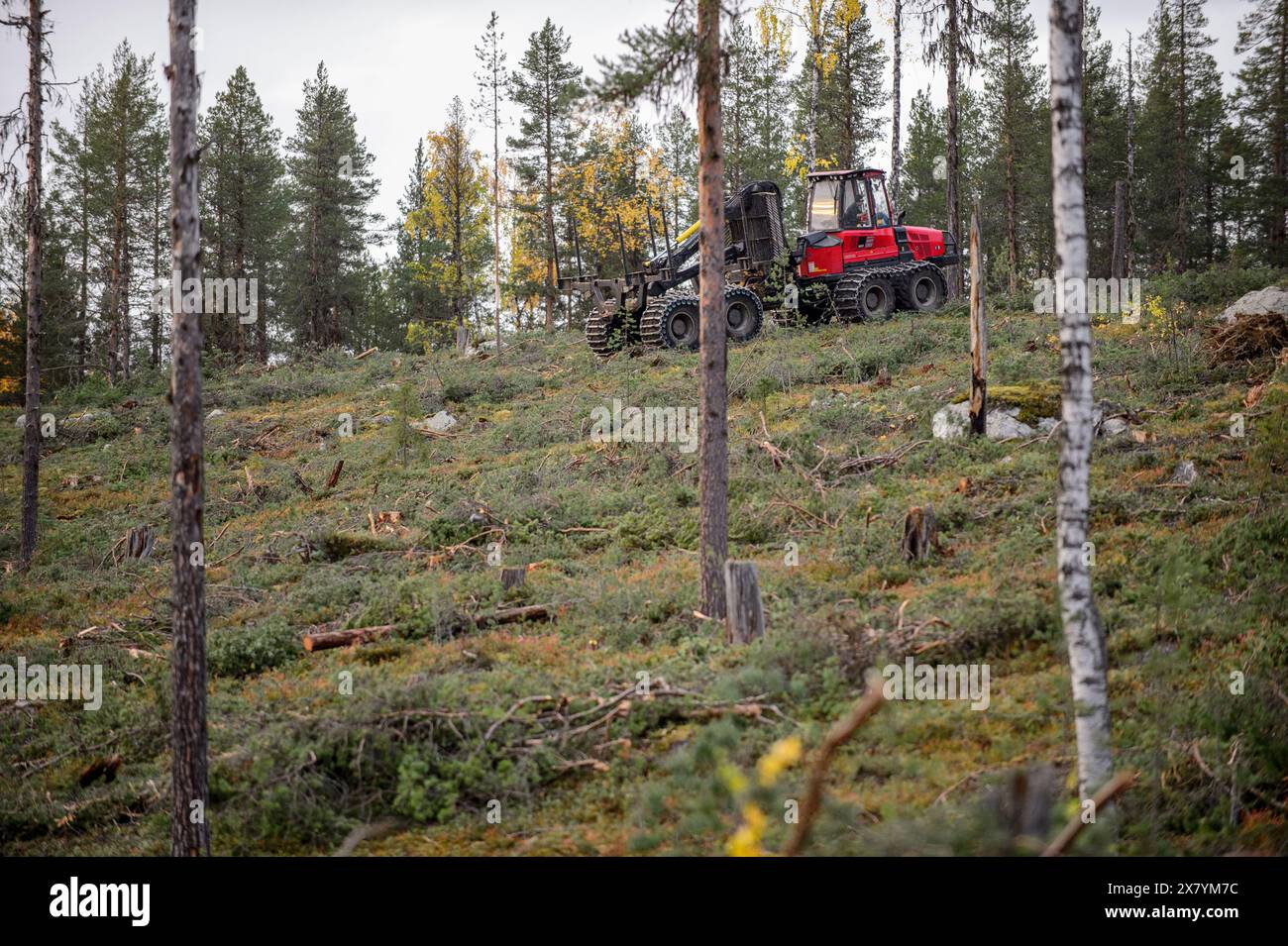 Logging activities hi-res stock photography and images - Alamy