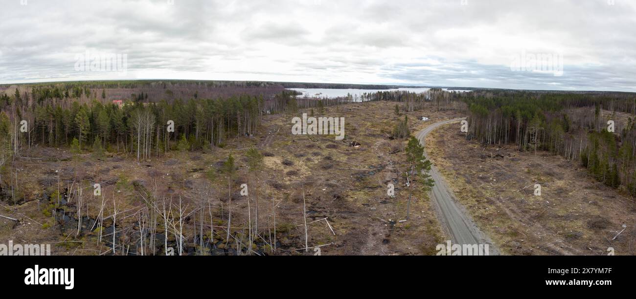 Aerial overview of a destroyed forest by logging activities in Sweden ...
