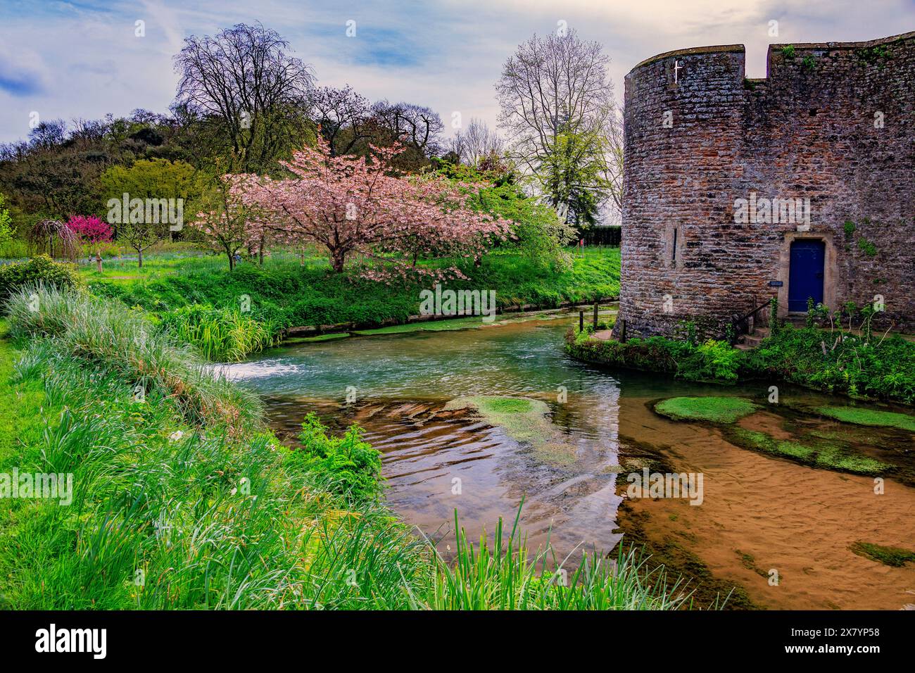 The moat surrounding the Bishop's Palace walled garden with a flowering ...