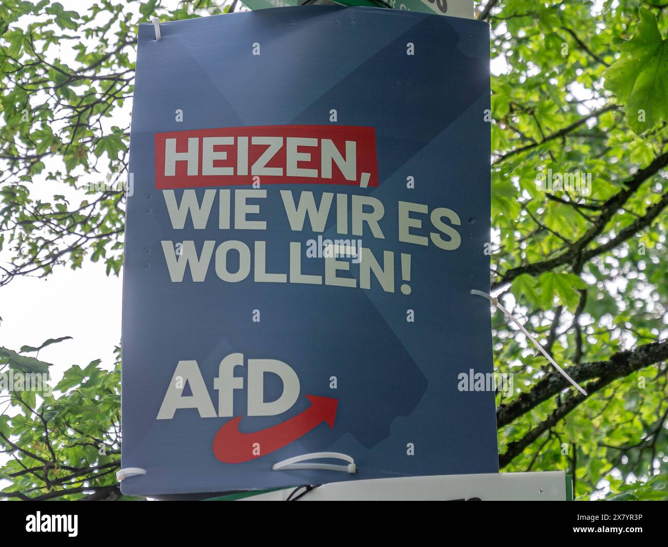 Deutschland 2024: Wahlplakate für die Europawahl 2024 Im Bild: AfD ...