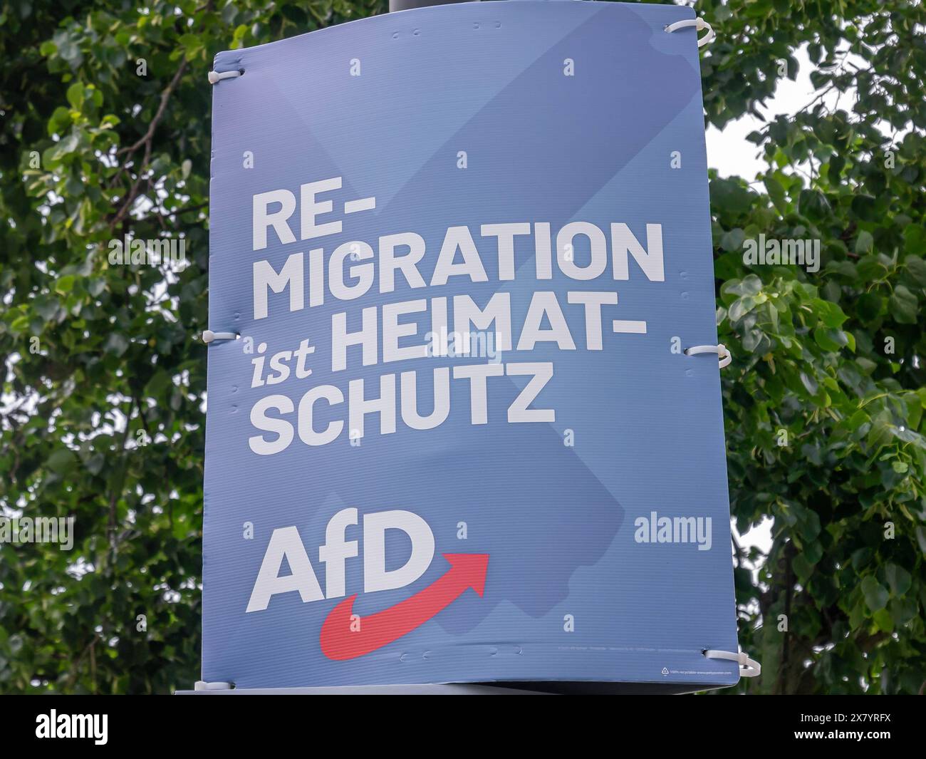 Deutschland 2024: Wahlplakate für die Europawahl 2024 Im Bild: AfD ...