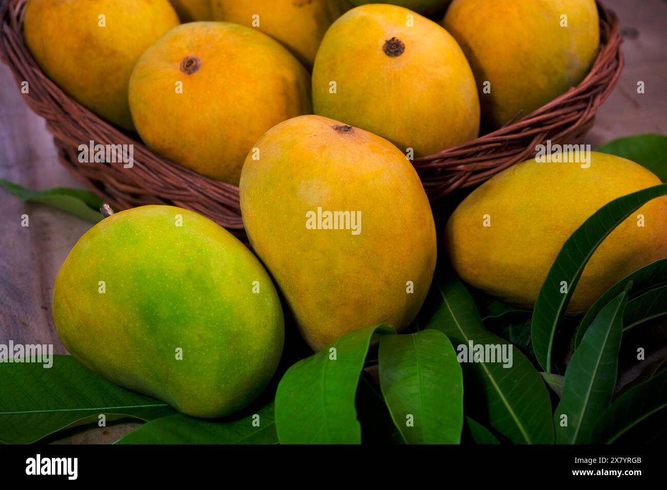 Fresh Mango tropical fruit with green leaf, Ripe mango in grass Stock ...