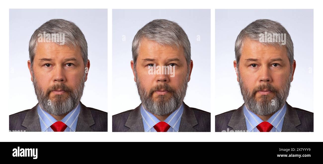 Mature bearded ceo man Cut Out Stock Images & Pictures - Alamy