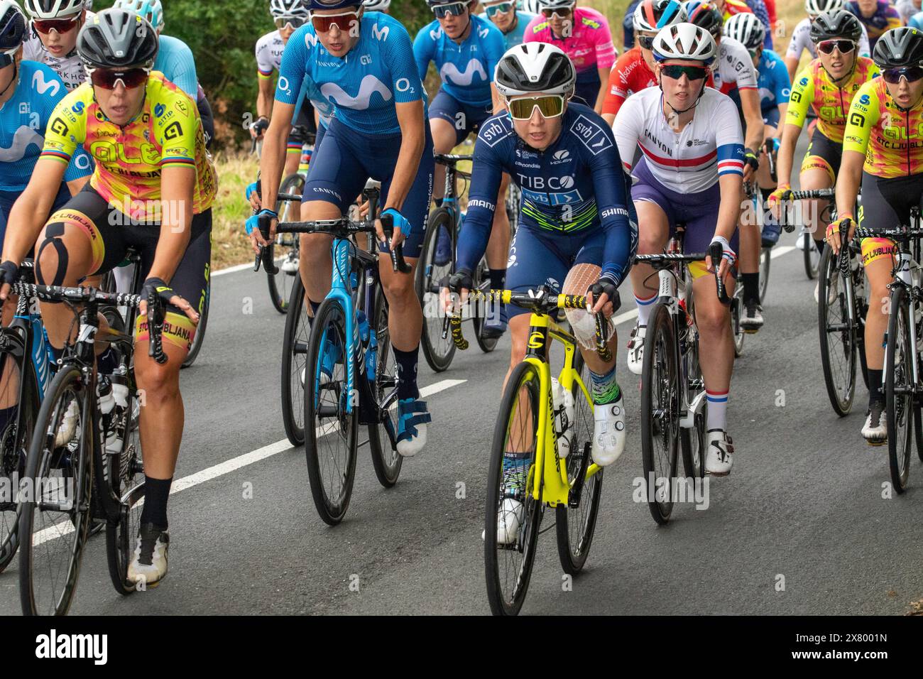 The peloton in the 2021 UK Women's Tour on the B1352 between Bradfield ...