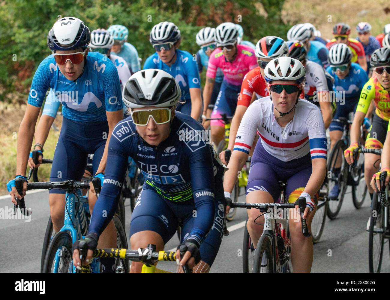 The peloton in the 2021 UK Women's Tour on the B1352 between Bradfield ...