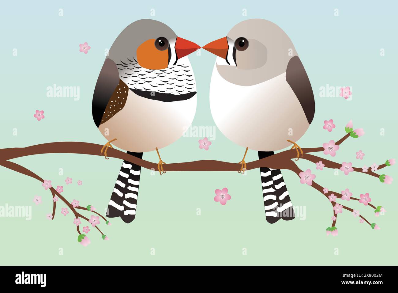 A cute couple of egg shaped zebra finches in the shape of an egg. Blue ...