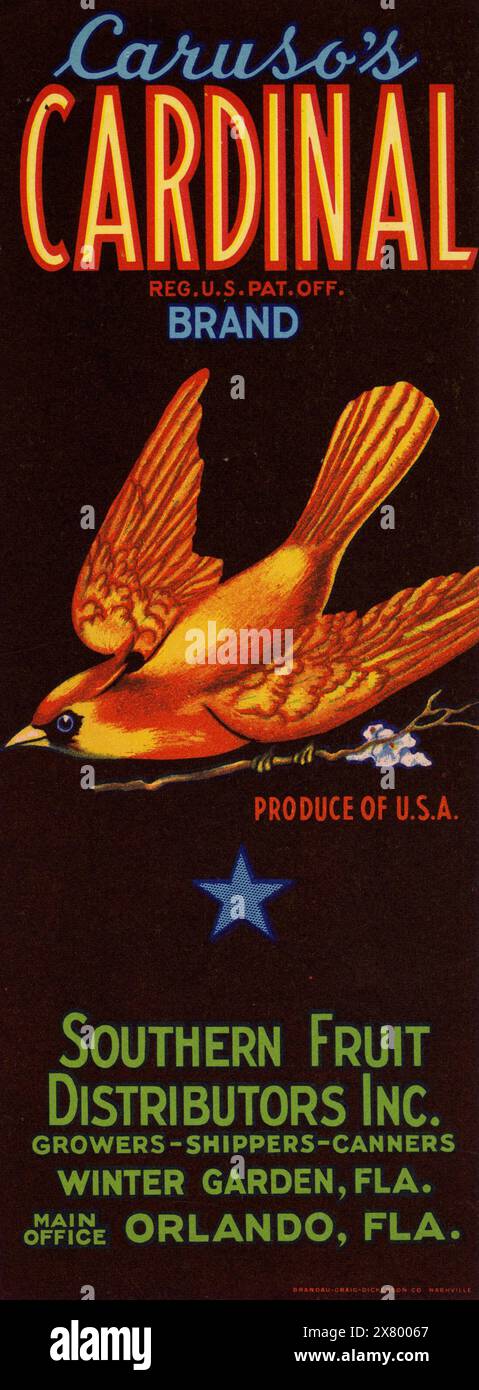 The 1930 cardinal hi-res stock photography and images - Alamy