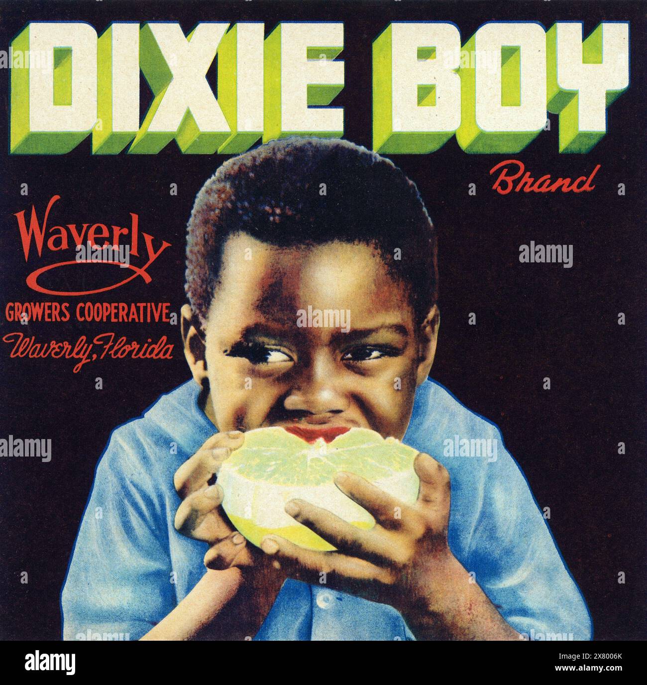 Dixie Boy Brand Citrus Label (1941) anonymous artist Stock Photo - Alamy