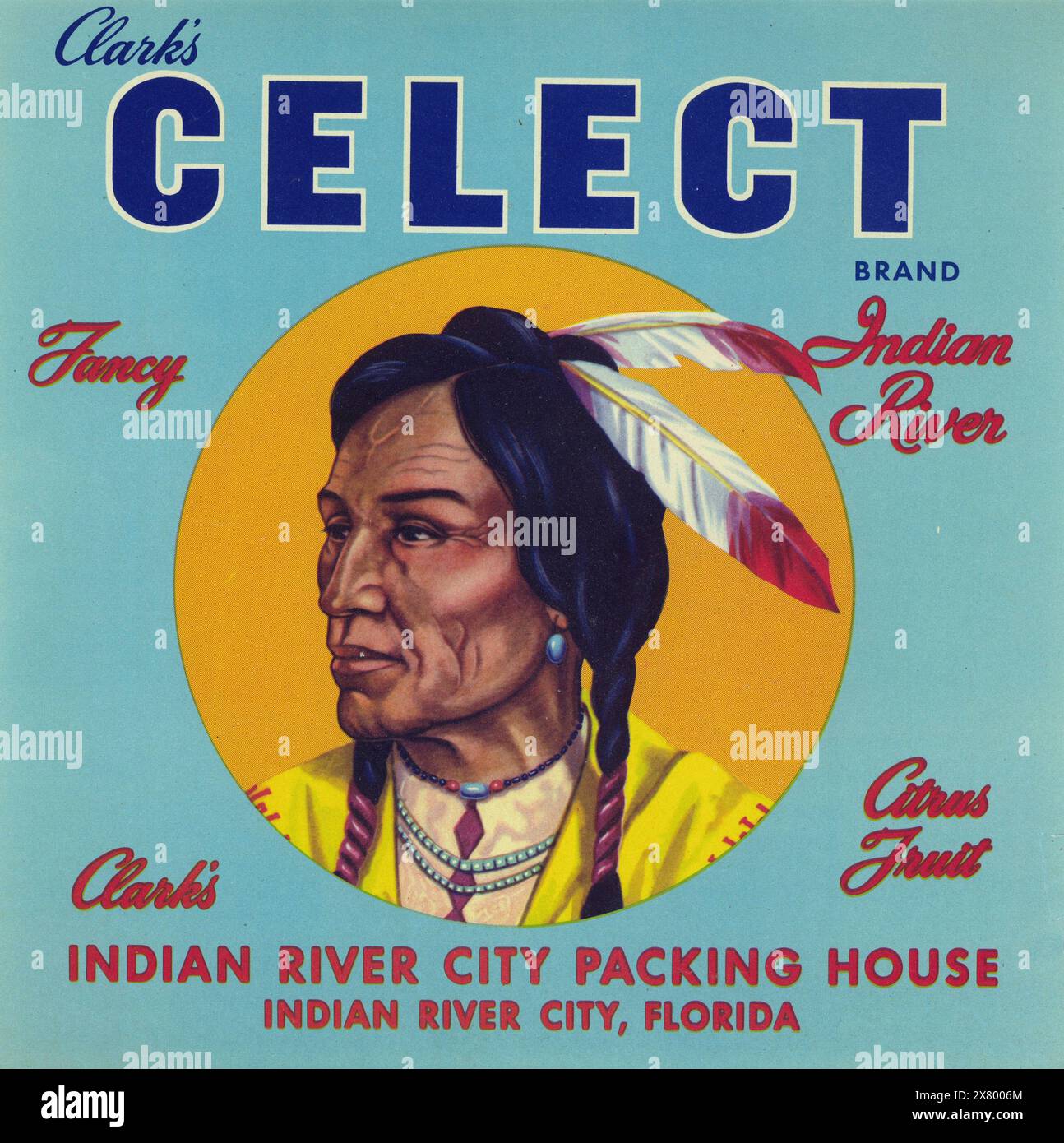 Clark’s Celect Brand Fancy Citrus Fruit Label (circa 1930-1950) Indian ...