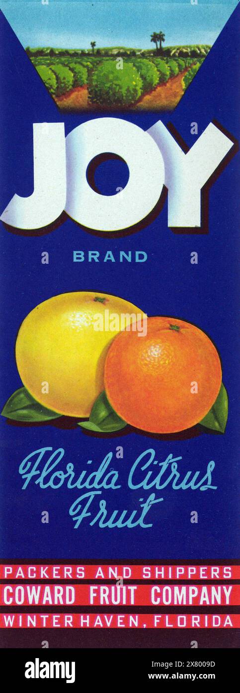 Joy Brand Florida Citrus Fruit Label (circa 1930-1950) anonymous artist ...