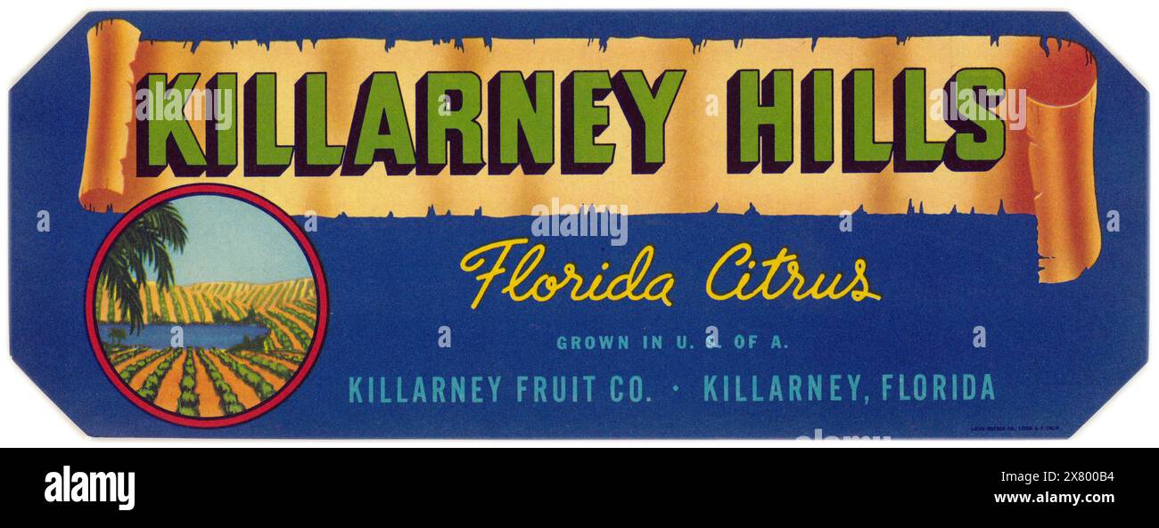Killarney Hills Florida Citrus Label (circa 1930-1950) Vintage ...