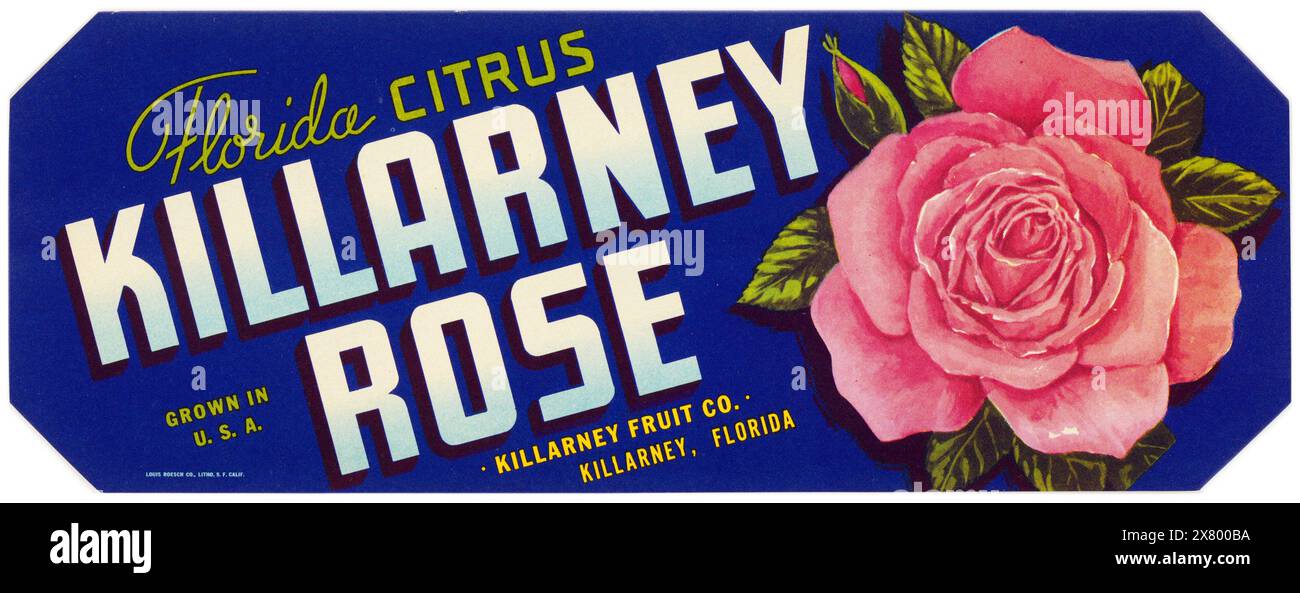 Killarney Rose Florida Citrus Label (circa 1930-1950) Vintage ...