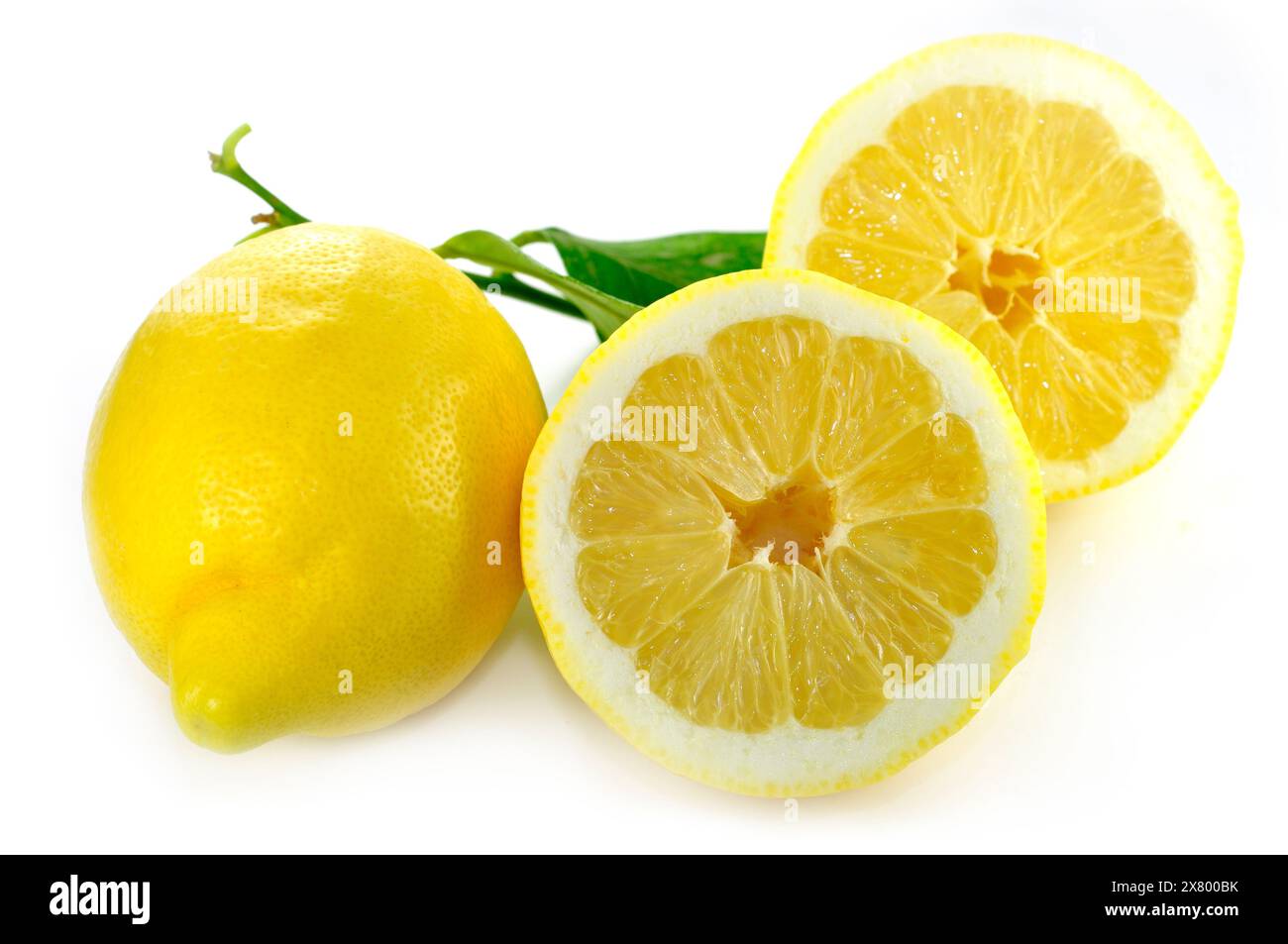 Outline lemon hi-res stock photography and images - Alamy