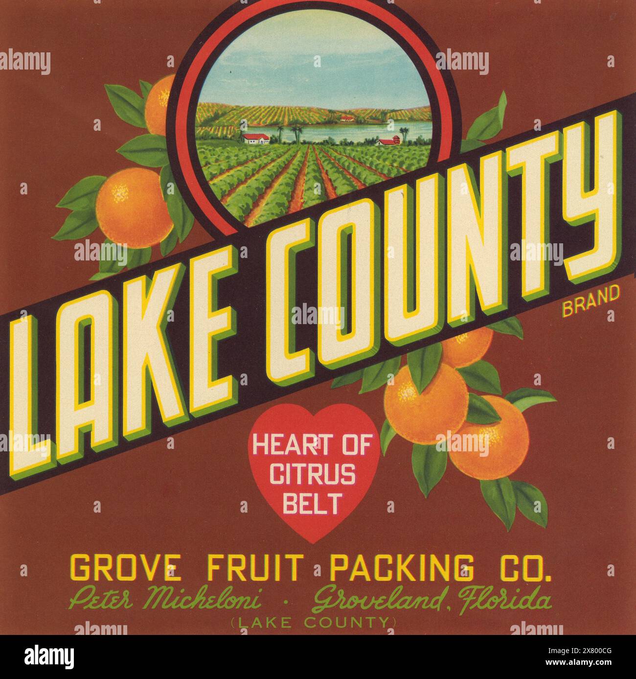 Lake County Brand Citrus Label (circa 1930-1950) anonymous artist Stock ...
