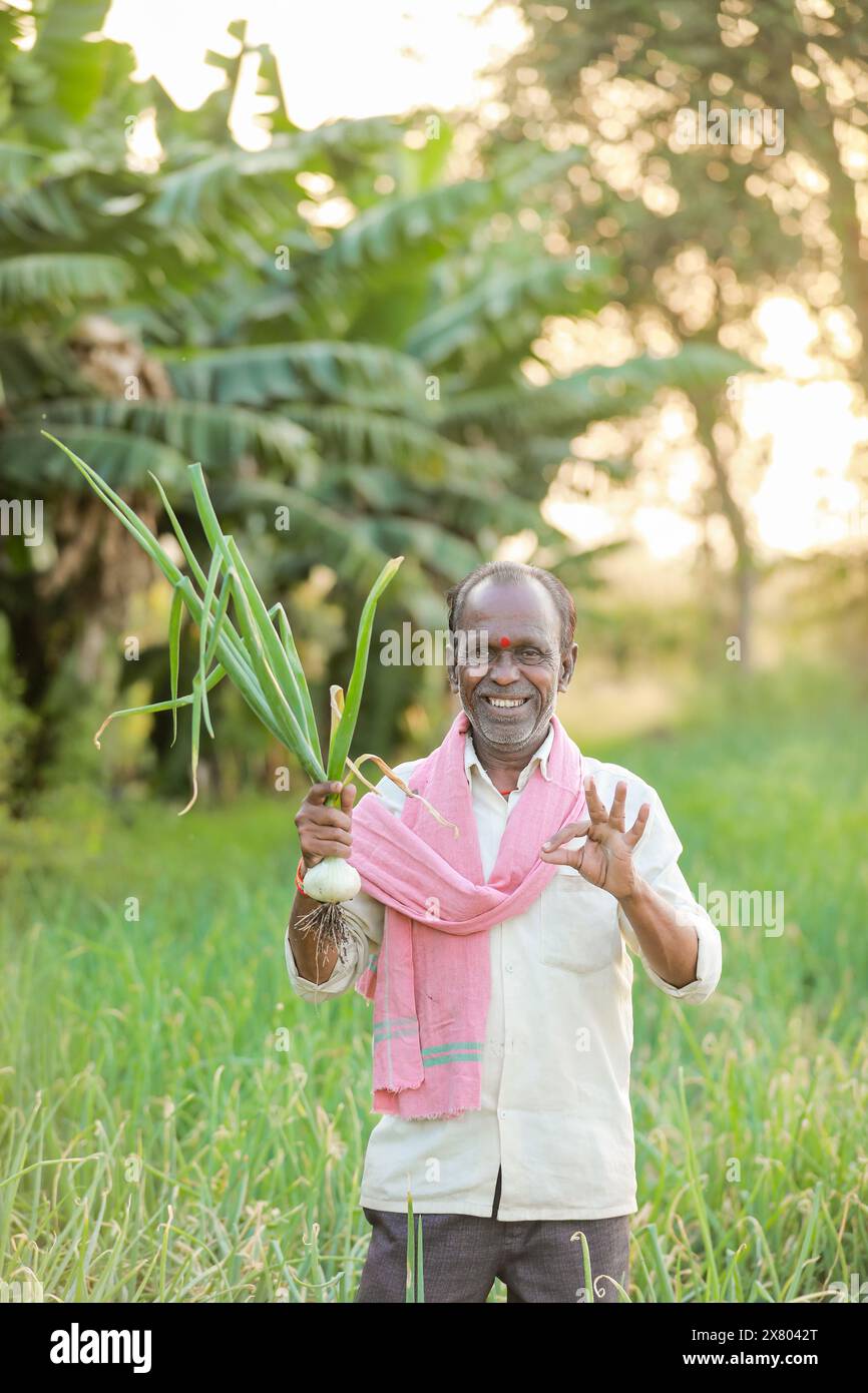 Indian farmer holding onion plant in onion farm Stock Photo - Alamy