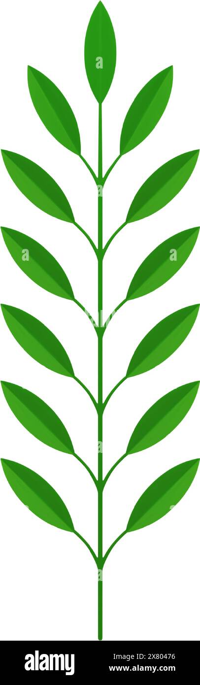 Green tree branch with stem and leaves tropical plant bio organic ...