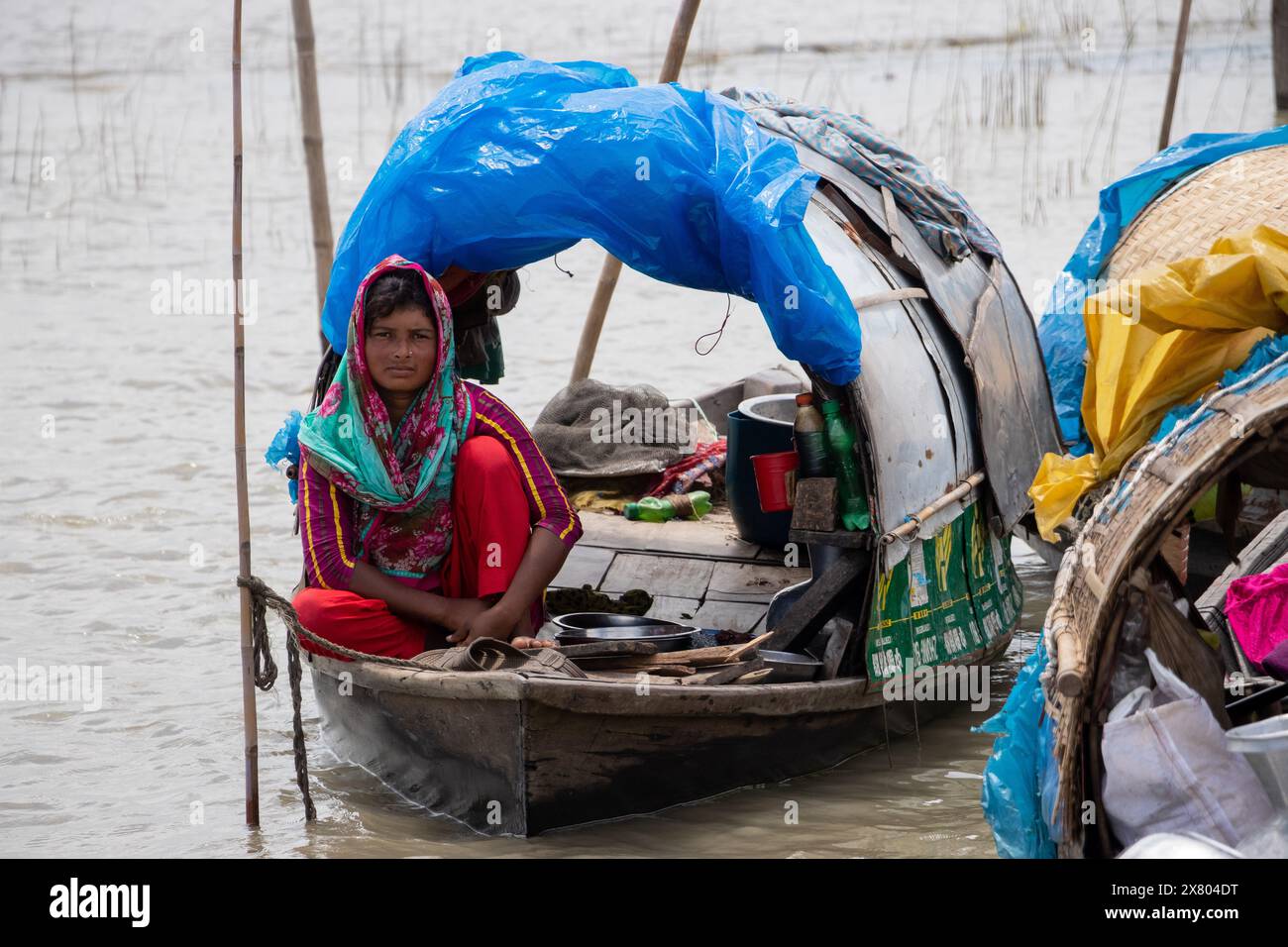 2024 0175 jpg hi-res stock photography and images - Alamy