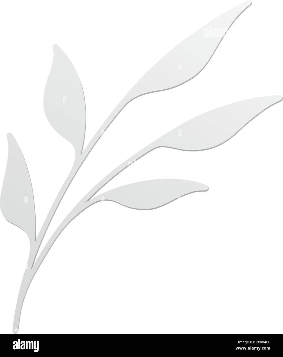 Curved tree branch grass white elegant leaves stem botanical decor ...