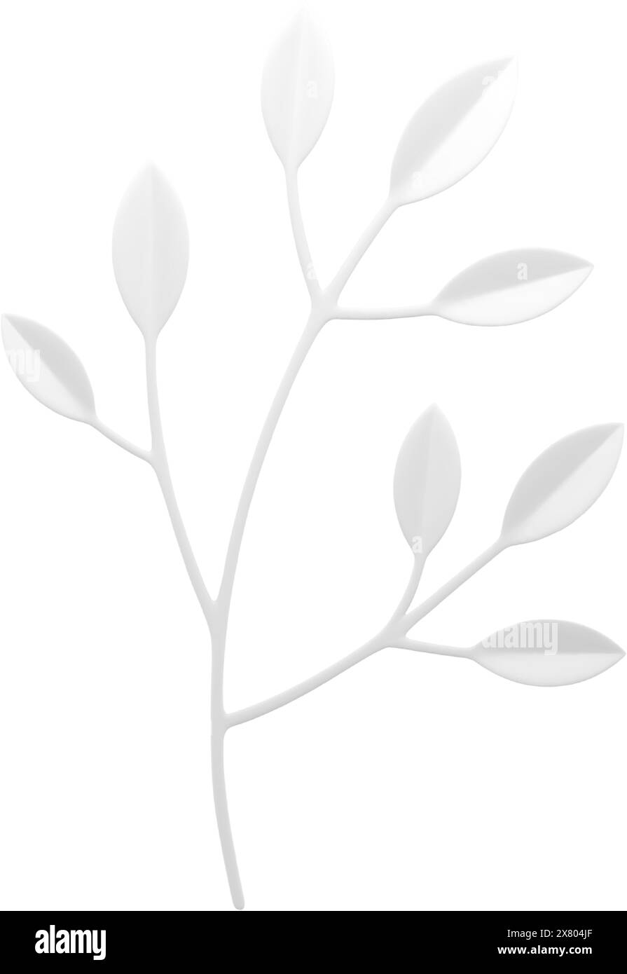 White tree branch botanical elegant natural plant floristic composition ...