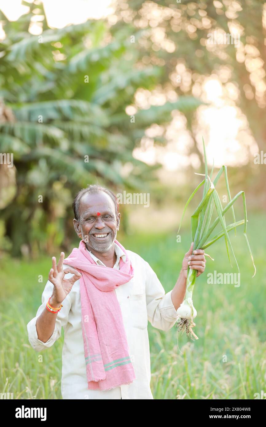 Onion harvesting modern agricultural hi-res stock photography and ...