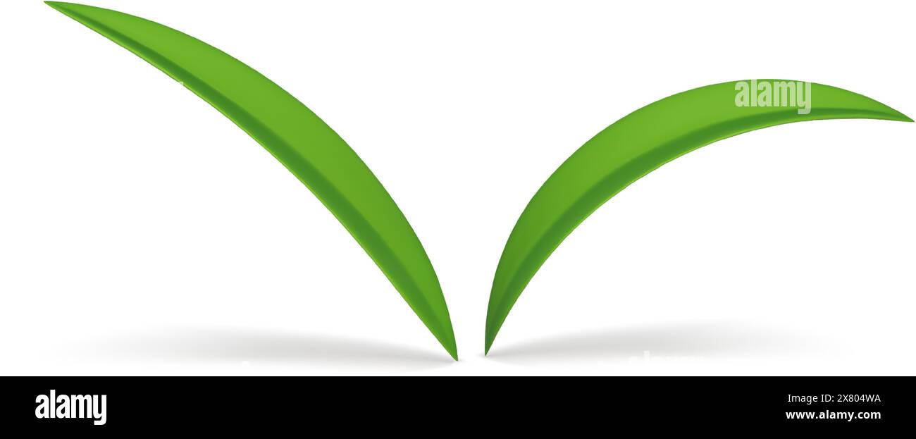 Green eco grass two curved leaves stem organic nature botanical blossom ...