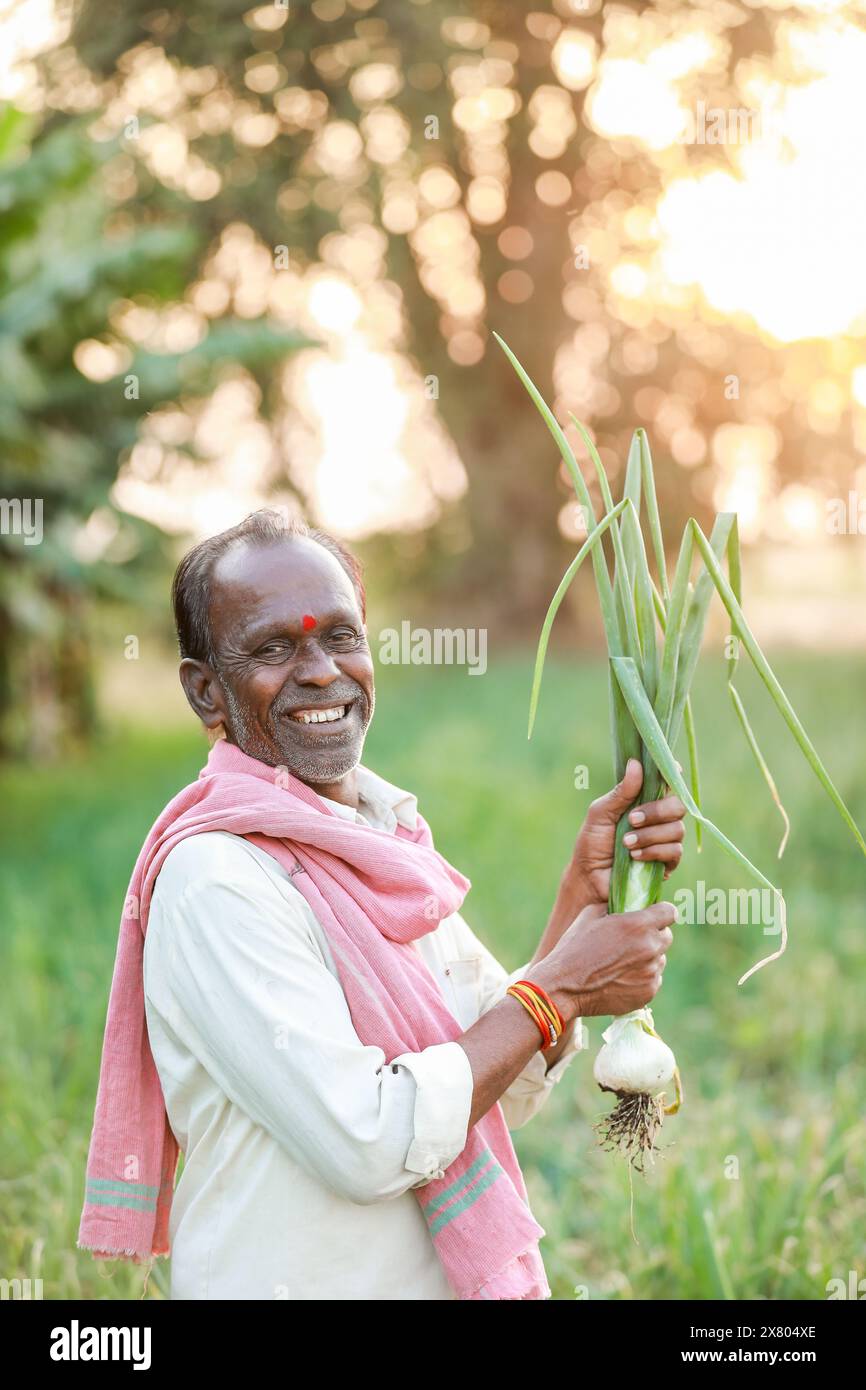 Indian farmer holding onion plant in onion farm Stock Photo - Alamy