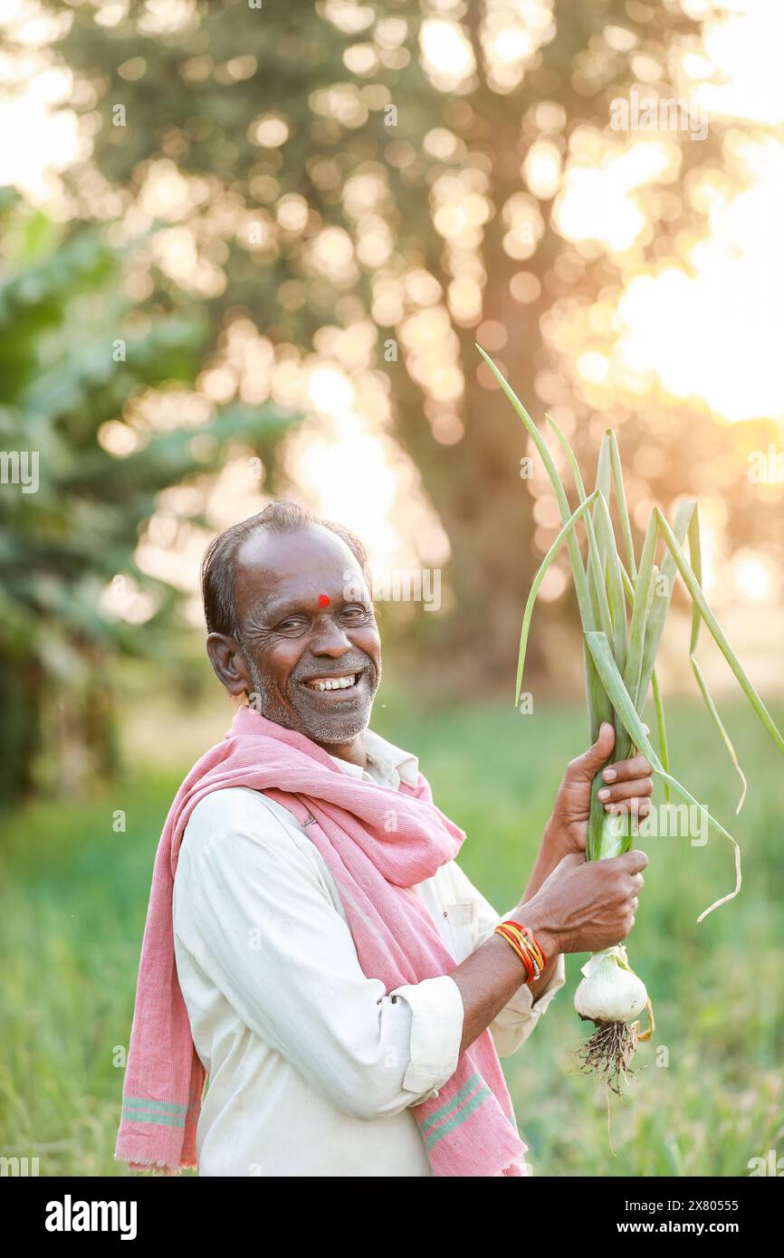 Indian farmer holding onion plant in onion farm Stock Photo - Alamy