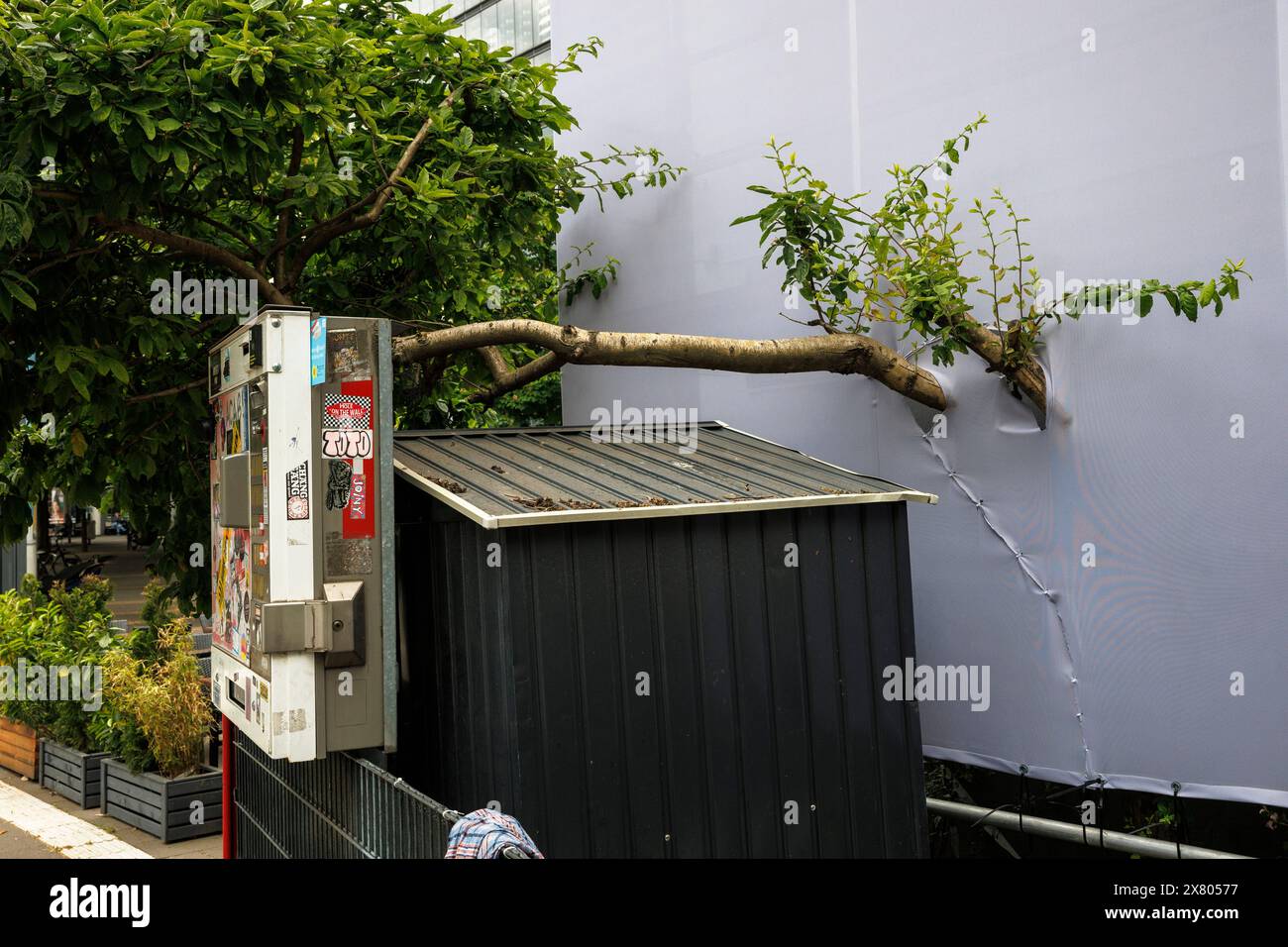 the branches of a tree protrudes out of a large advertising banner near ...
