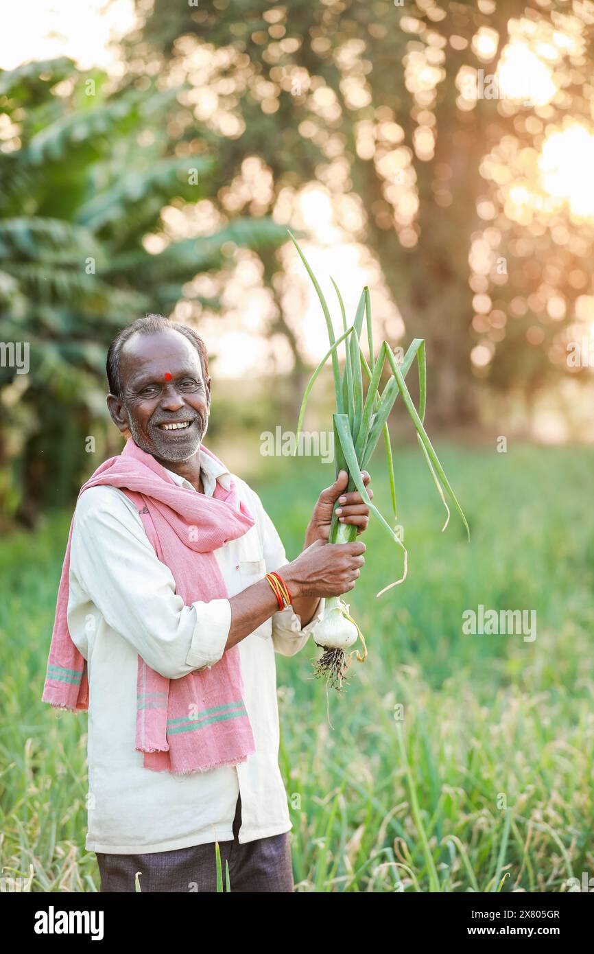 Indian farmer holding onion plant in onion farm Stock Photo - Alamy