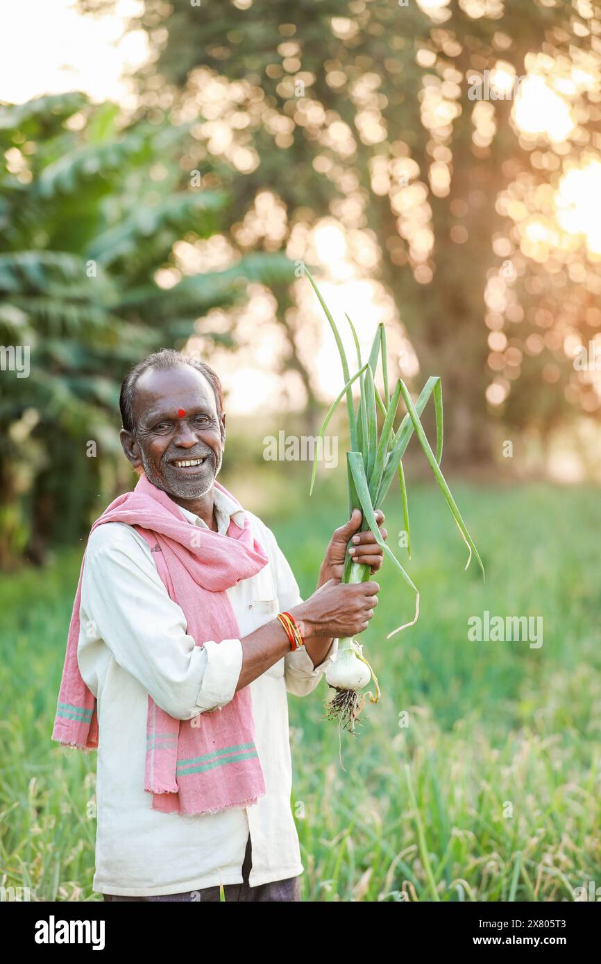 Indian farmer holding onion plant in onion farm Stock Photo - Alamy