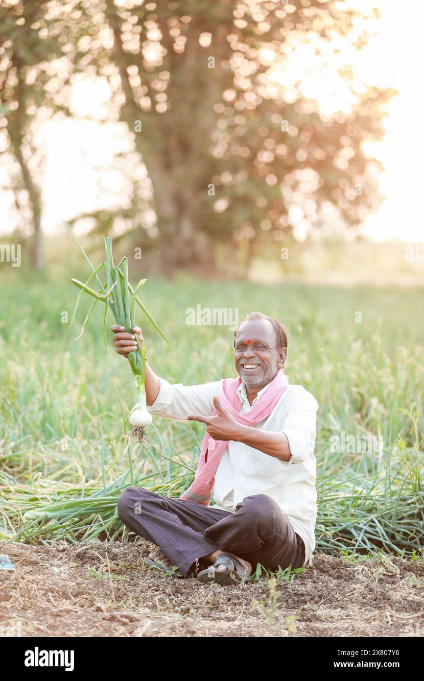 Indian farmer holding onion plant in onion farm Stock Photo - Alamy