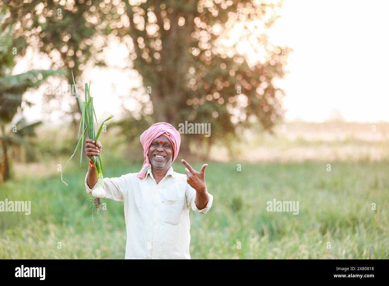 Indian farmer holding onion plant in onion farm Stock Photo - Alamy