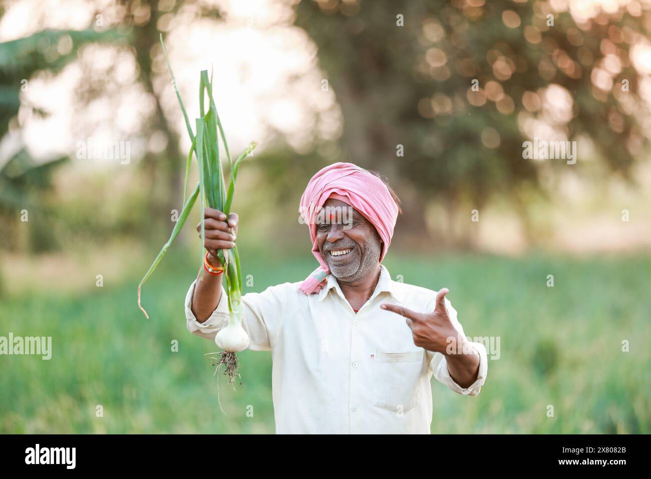 Indian farmer holding onion plant in onion farm Stock Photo - Alamy