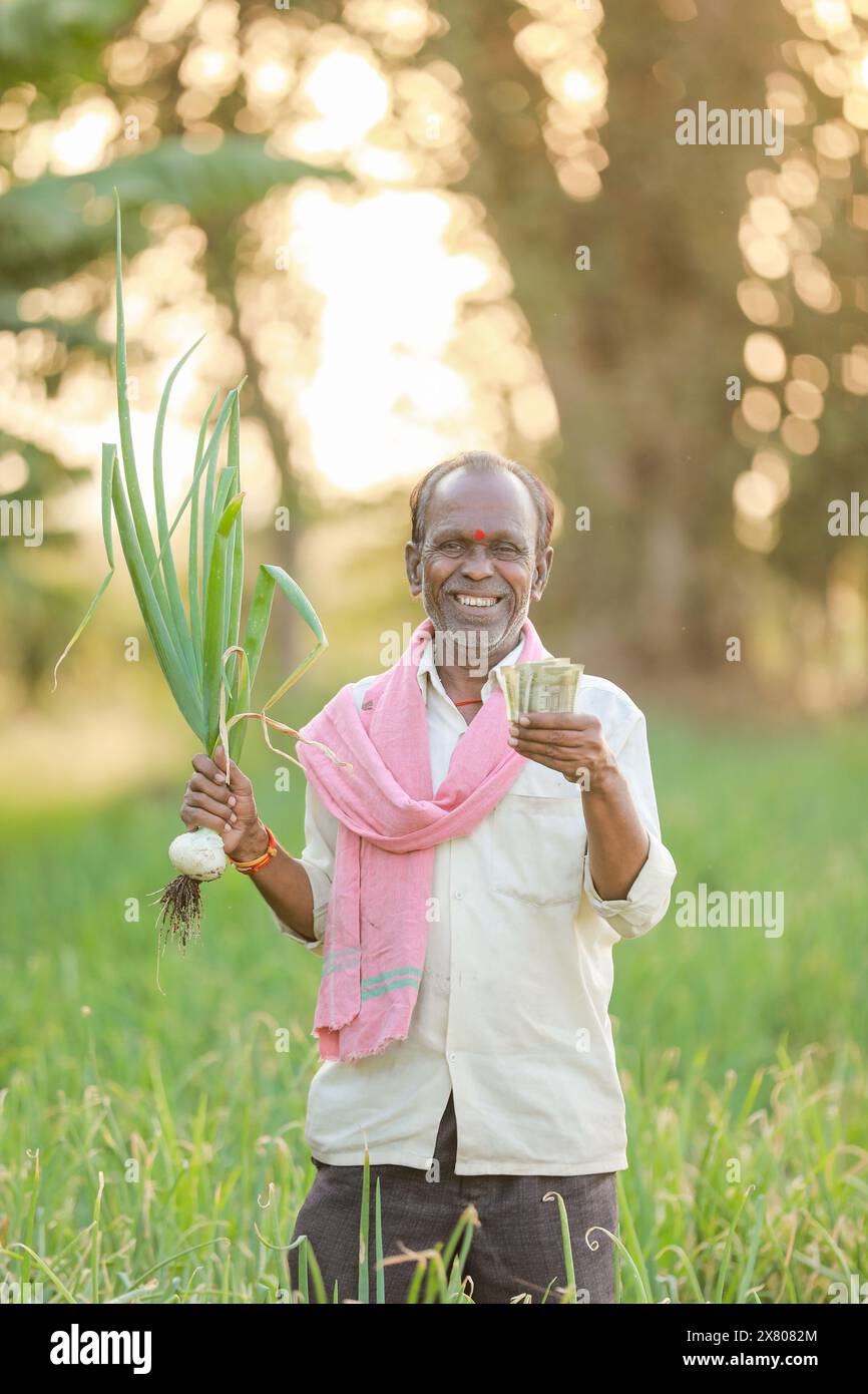Indian farmer holding onion plant in onion farm Stock Photo - Alamy