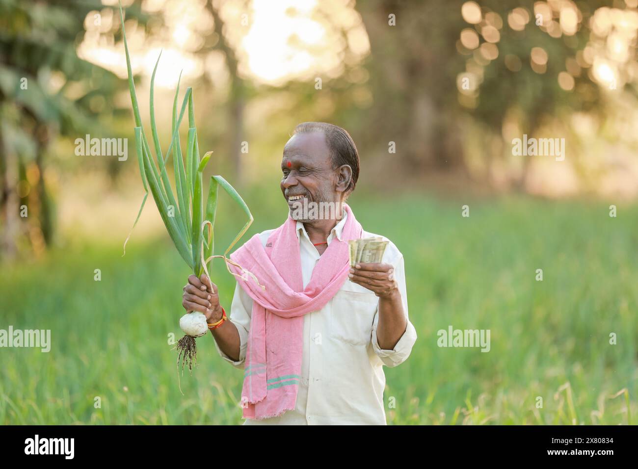 Indian farmer holding onion plant in onion farm Stock Photo - Alamy