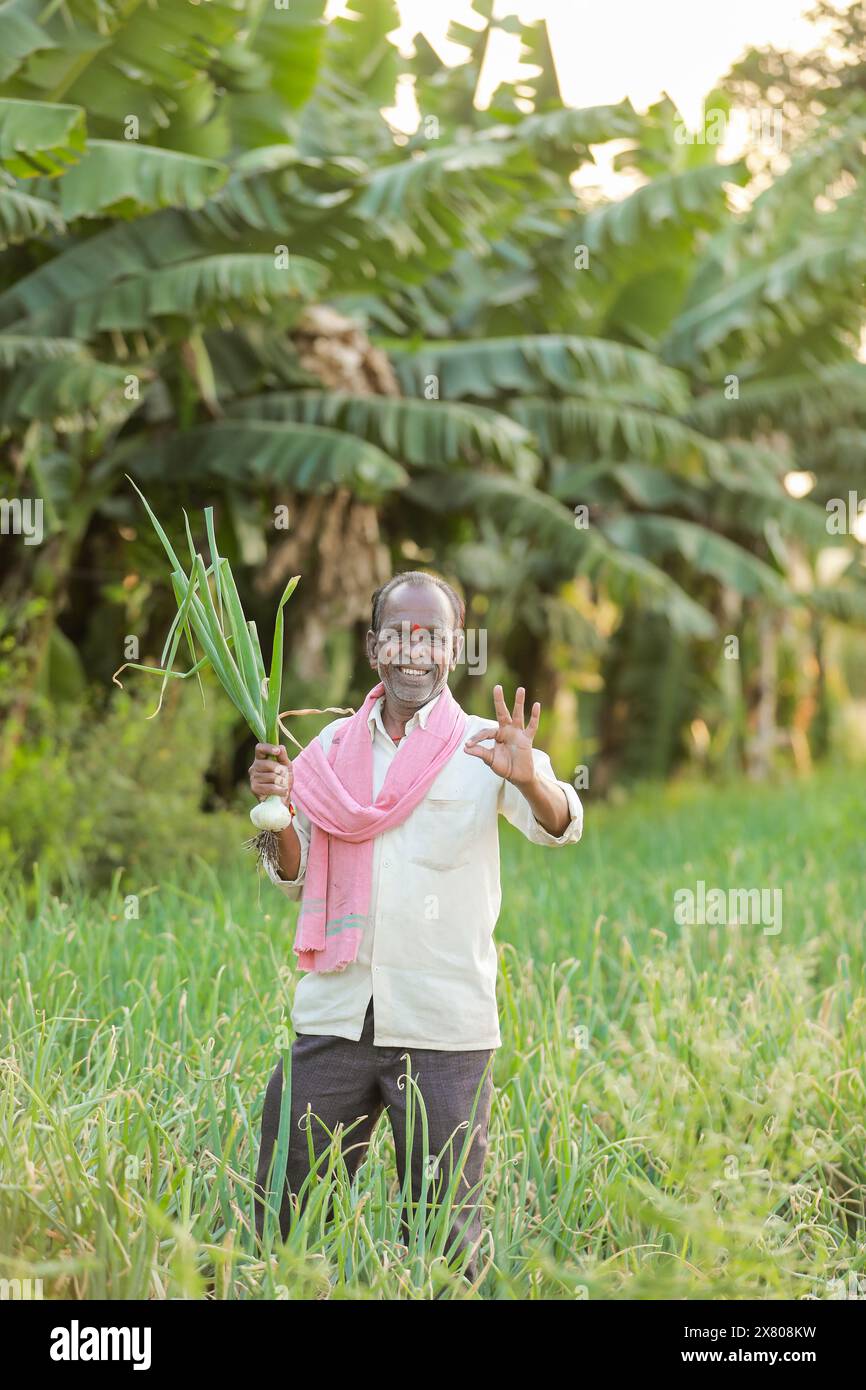 Indian farmer holding onion plant in onion farm Stock Photo - Alamy