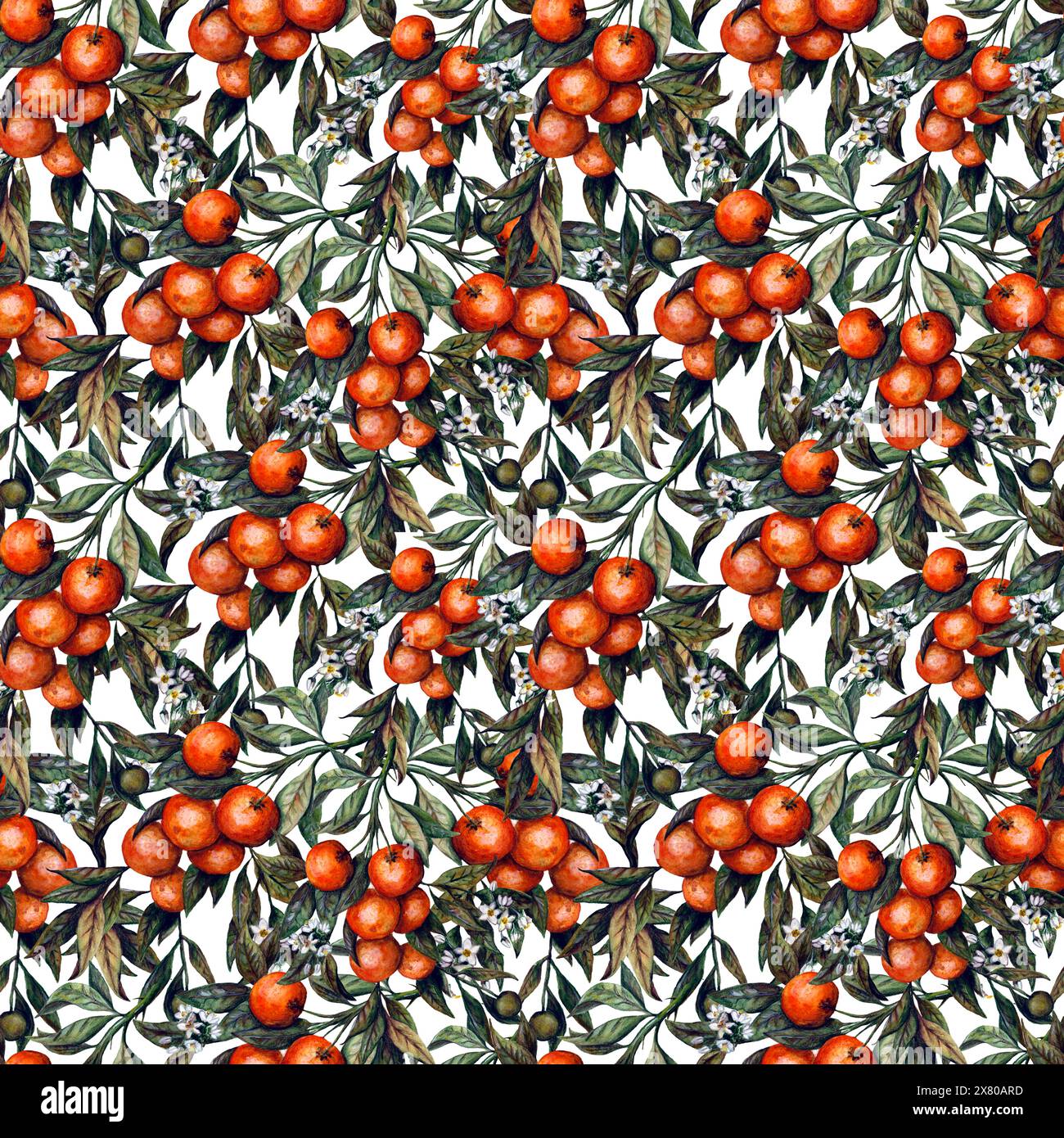 Hyper-realistic botanical watercolor oranges seamless pattern fruits ...