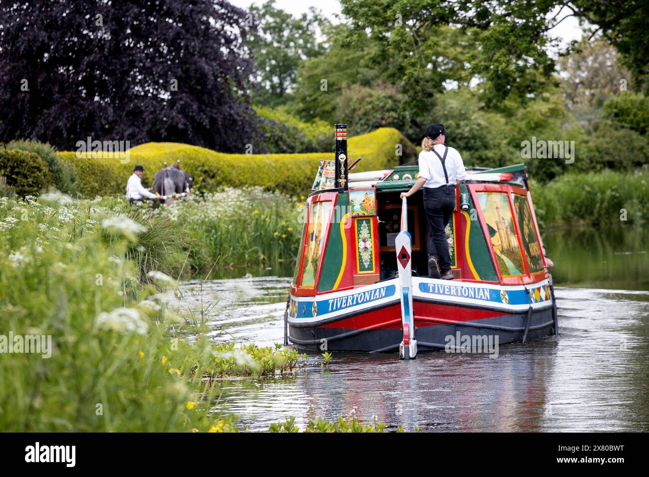 The barge glides along the Grand Western Canal in Tiverton, devon, to provide a seren scene. the ...