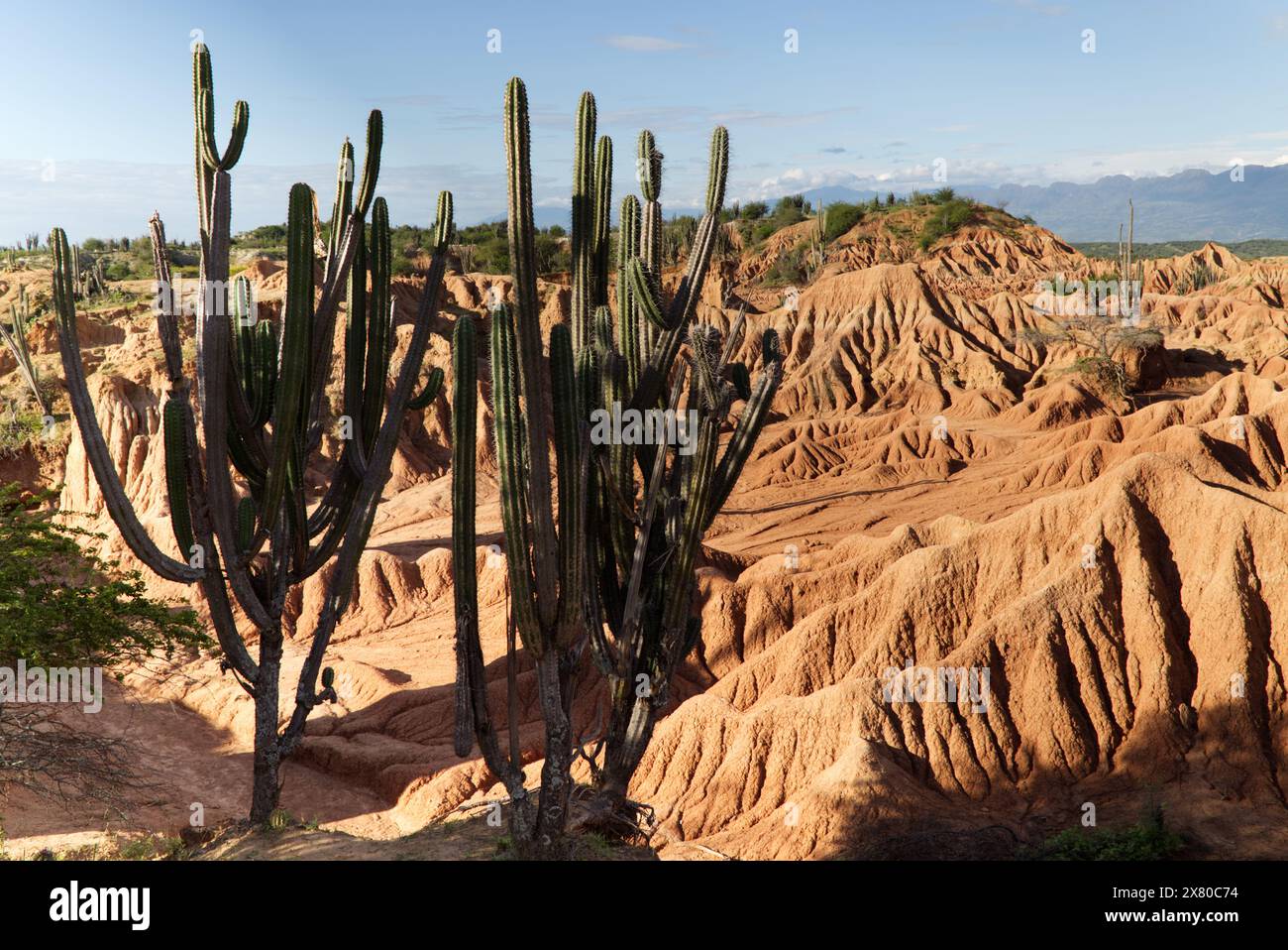 Desierto de la tatacoa colombia hi-res stock photography and images - Alamy