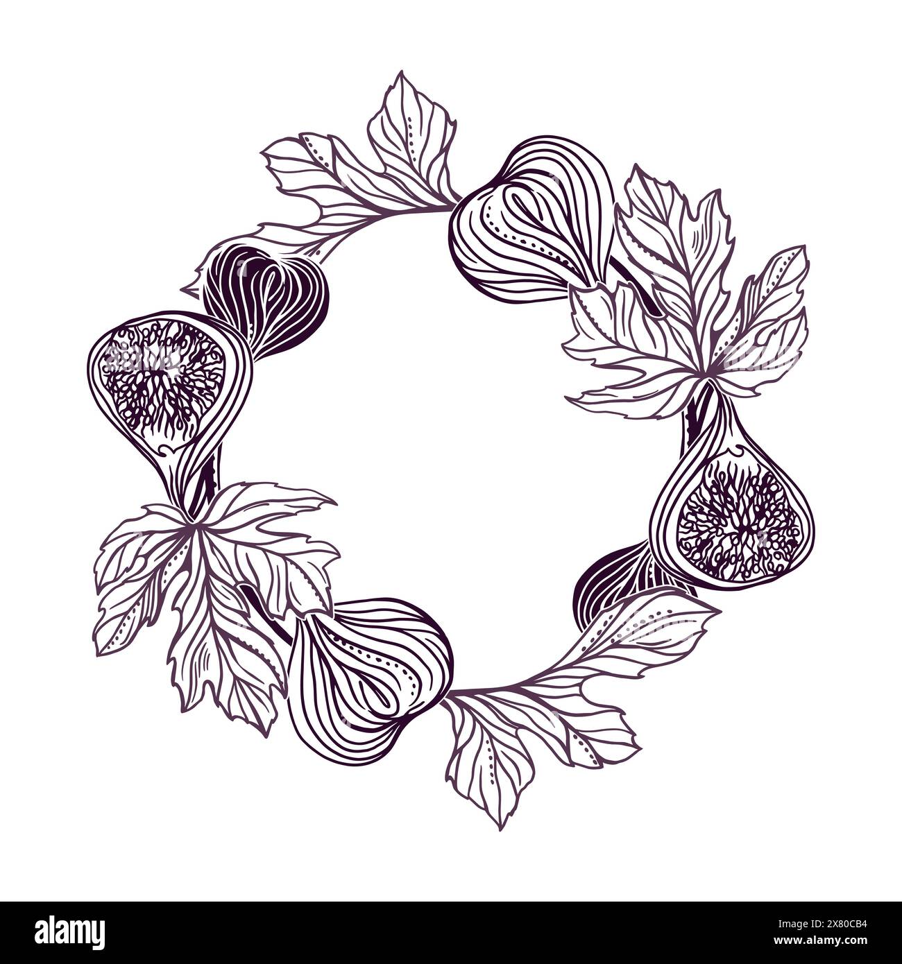 Figs wreath. Twig with leaves and fruits. Vector illustration in ...